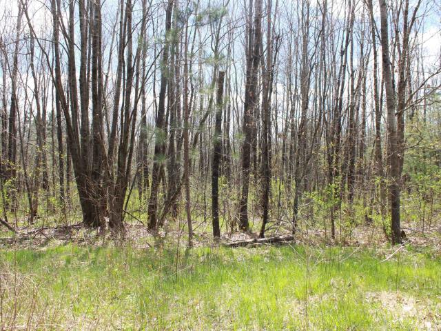 52 acres Hwy 13 CSM 5760
