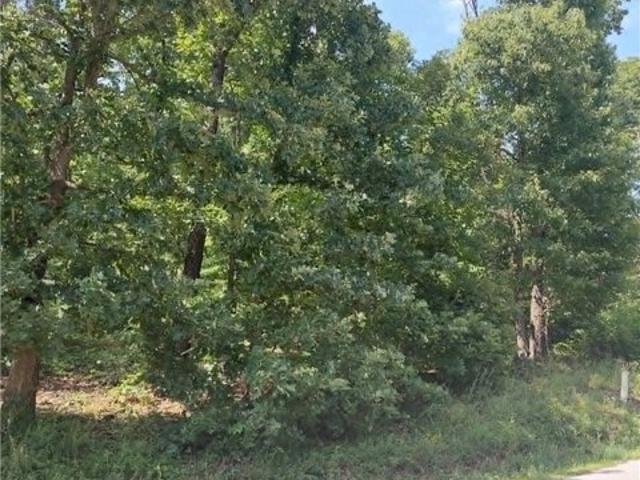 52 and 54 Kent Dr Lot 4, Benton, AR 72714