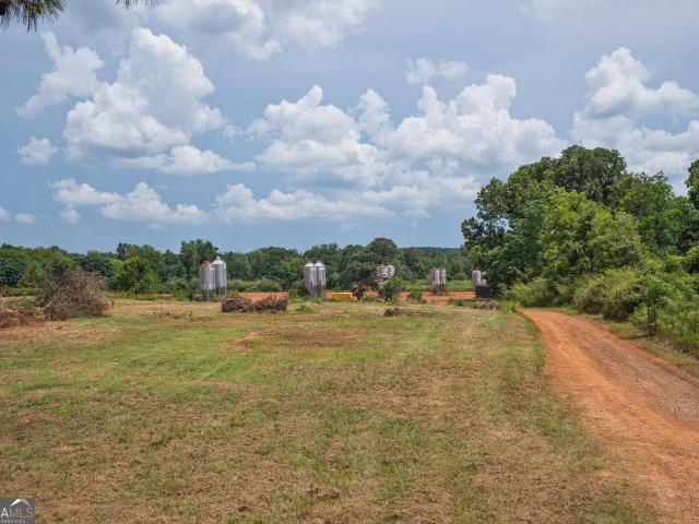 52 Askin Place