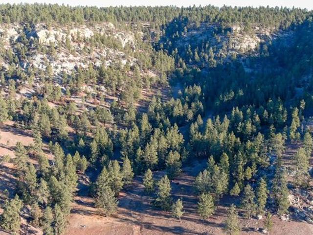 52 Buckskin Rd, Roundup, MT 59072