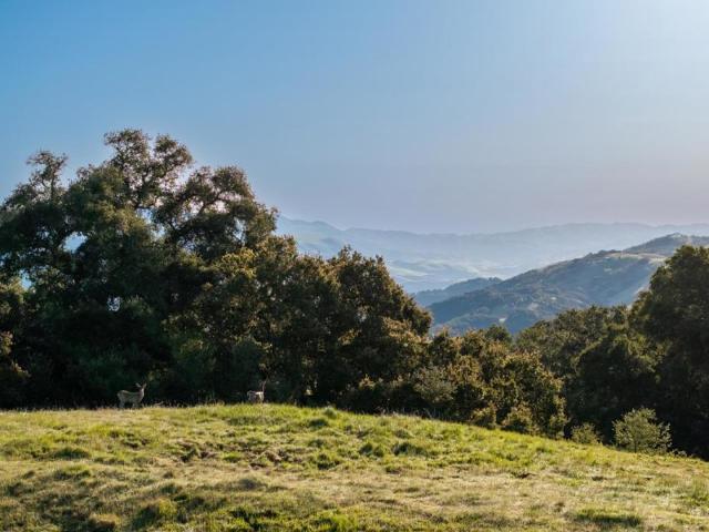 52 Chamisal Pass Lot 136