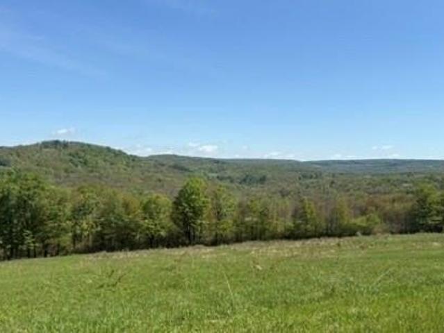 52 E Hill Rd, Jeffersonville, NY 12748