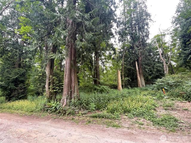 52 F Saratoga Drive