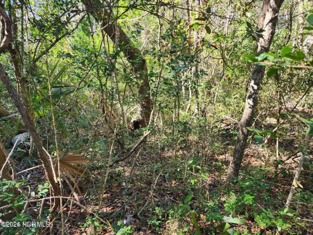 52 Fort Holmes Trail