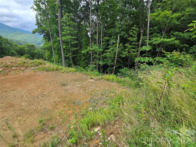 52 Lantern Ridge
