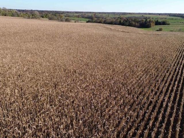 52A Scarlet Ave, Bloomfield, IA 52537
