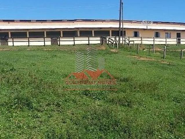 52ha Haras de Luxo PR | 29 Cocheiras | Tijucas do Sul