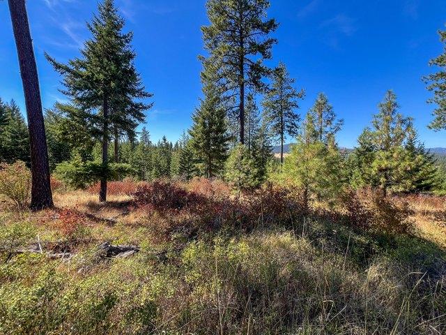 52XX S Swenson Rd Lot 7, Deer Park, WA 99006