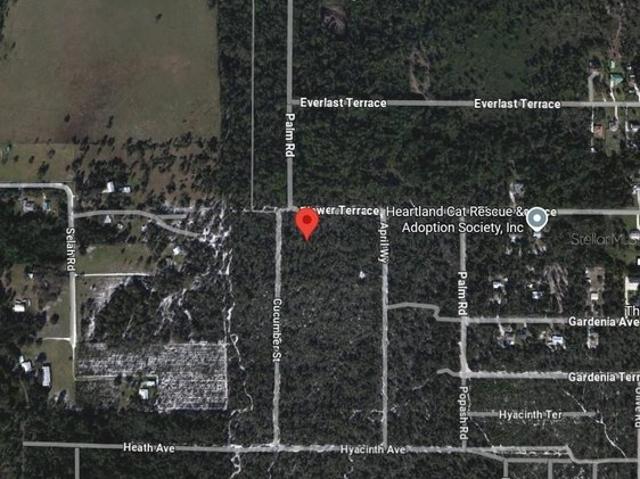 5306 Cucumber St, Sebring, FL 33875