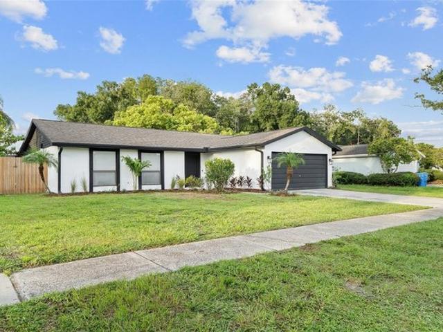 5308 Black Pine Dr, Tampa, FL 33624