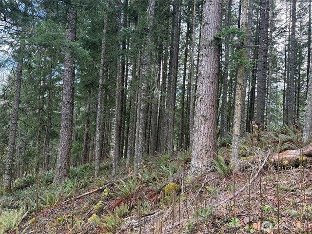 53007 th Ave E, Eatonville, WA 98328