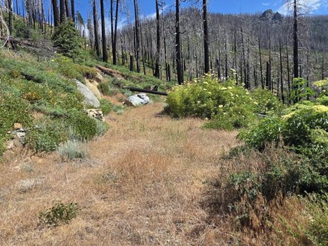 53009 Pine View Dr, Springville, CA 93265