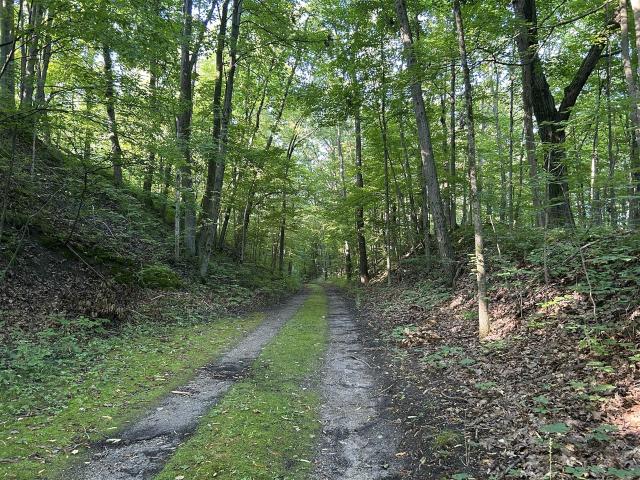 5300 Lammers Road
