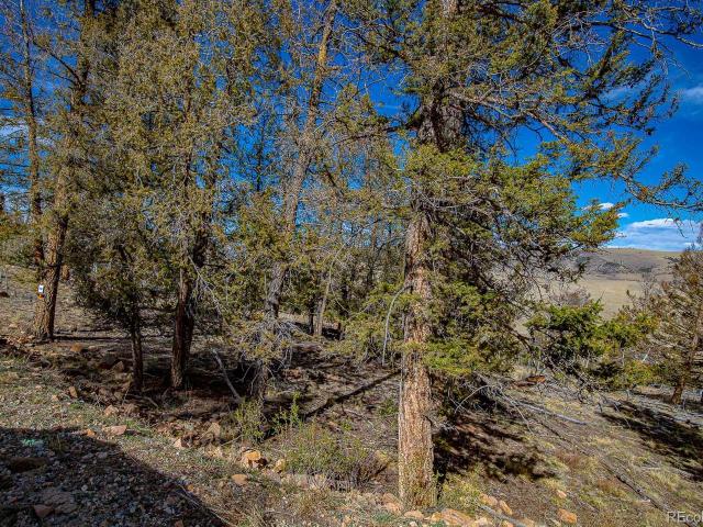 5302 Middle Fork Vista