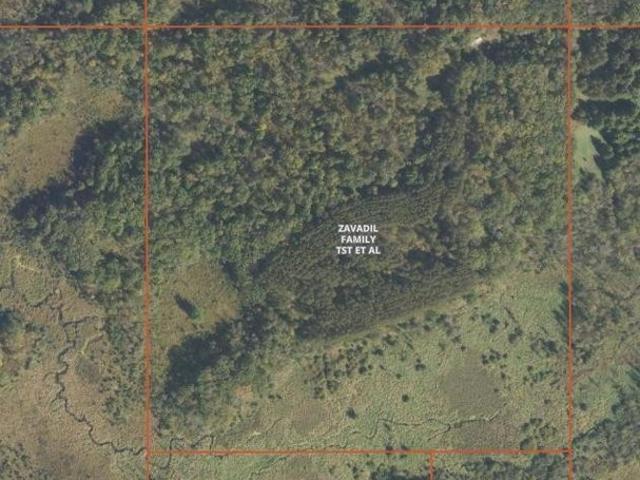530th Ave, Deer Creek, MN 56527