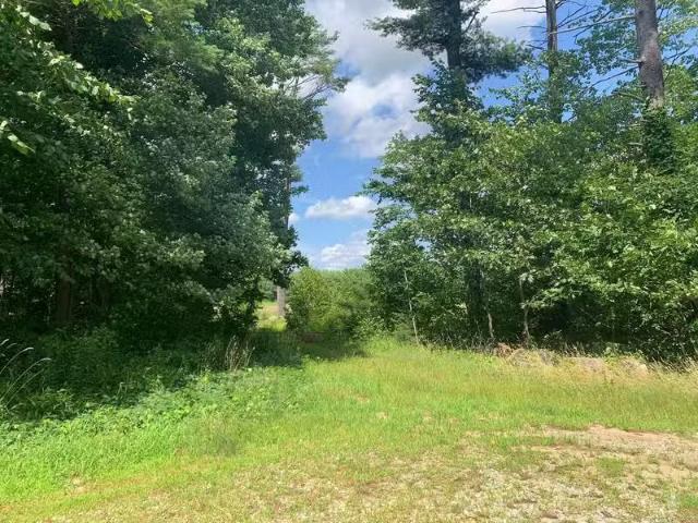 530 5 Mile River Road, Putnam, CT 06260 651928781