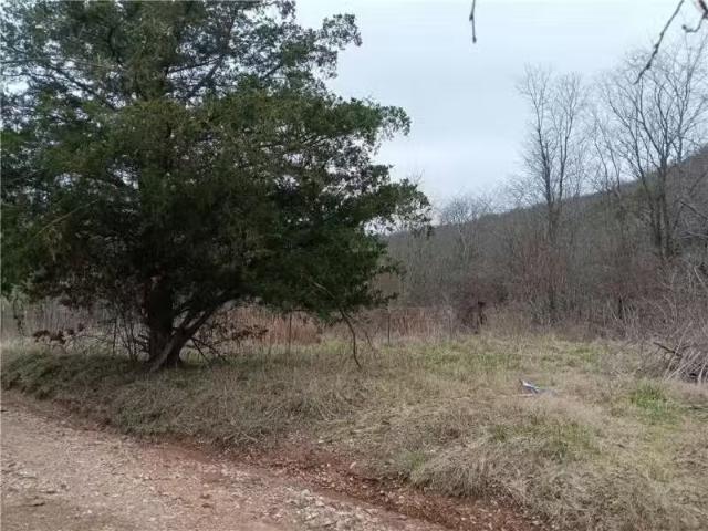 530 COUNTY ROAD 605, GREEN FOREST, AR 72638 Vacant Land For Sa.