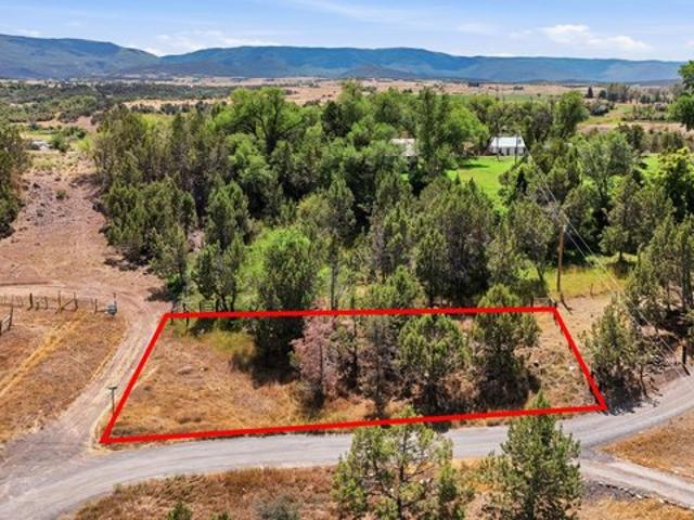 530 Glenarm Ave, Collbran, CO 81624