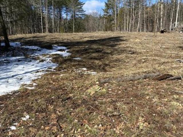 530 Fox Run Road St, Lewis, NY 12950