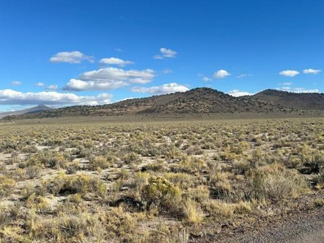 530 Mail Route Rd, Ravendale, CA 96123