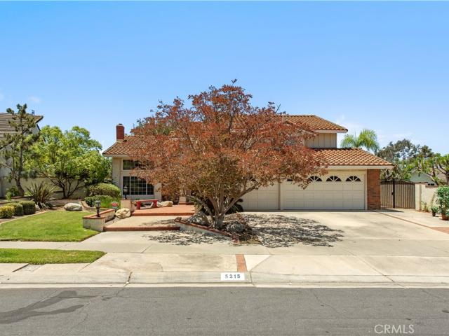 5315 Vista Montana