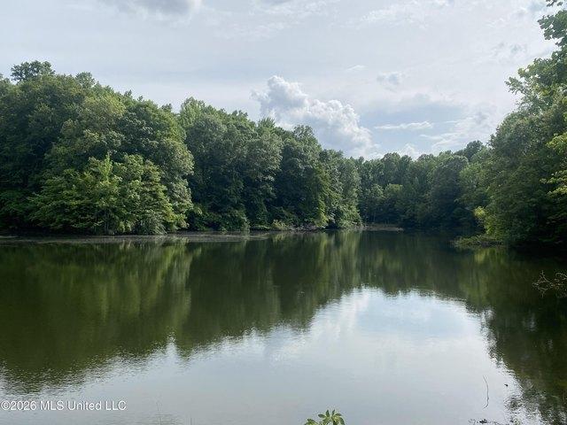 5317 Highway 3, Sarah, MS 38665