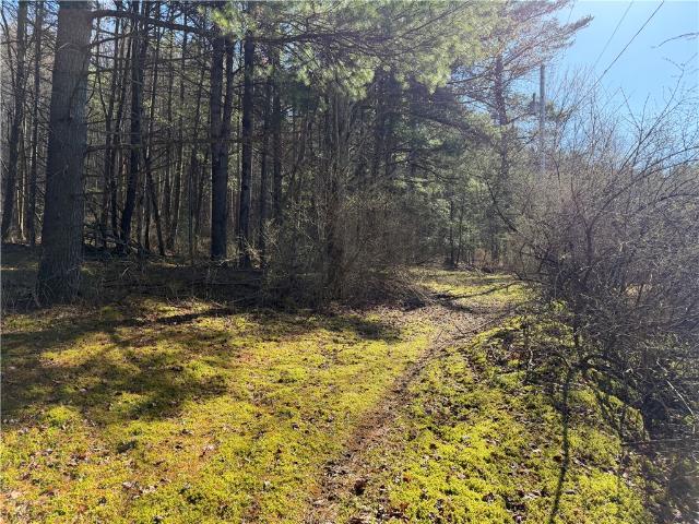 5310 County Route 10