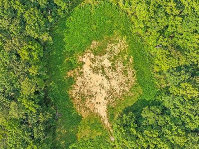 5312 Cahaba Valley Cv Lot 2010, Birmingham, AL 35242