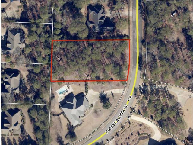 531 Forest Bluffs Road
