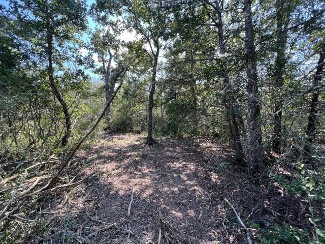 531 Moss Oak Dr, Somerville, TX 77879 | MLS #5839