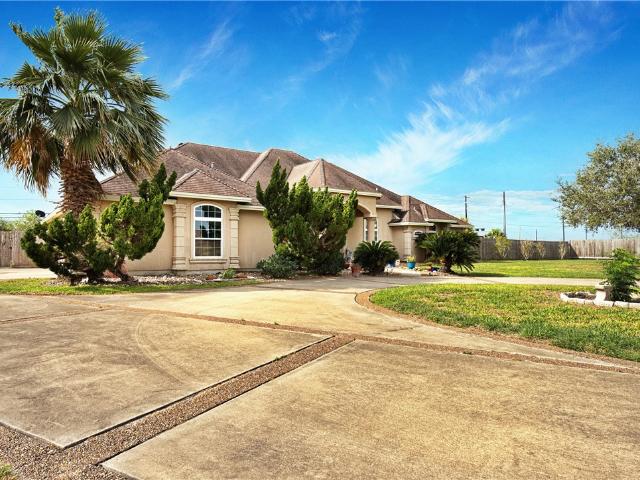 5325 Wild Olive