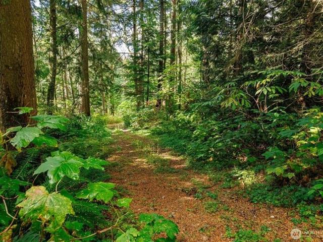 5326 Reese Hill Rd, Sumas, WA 98295
