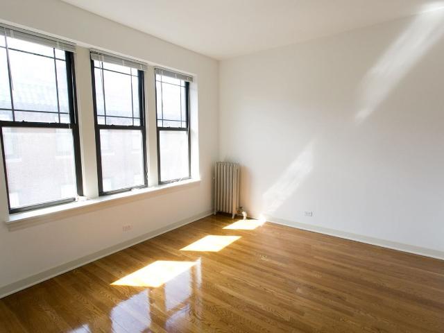 5326 5336 S. Greenwood Avenue 2 Bedroom Apartment for Rent at 5326 S Greenwood Ave, Chicago, IL 60615 Hyde Park