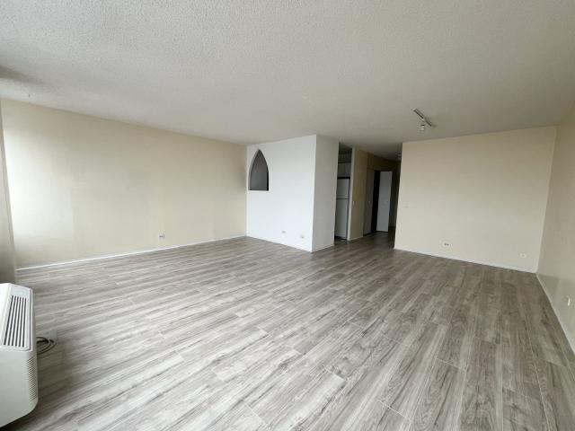 5320 N Sheridan Road # 2110