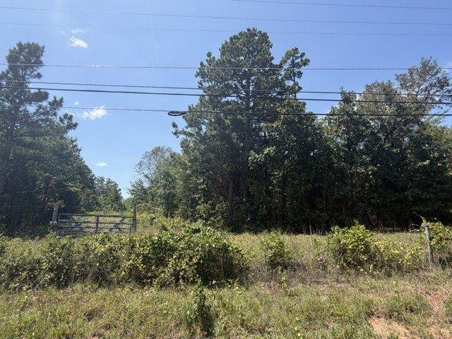 5320 SR 333, London, AR 72847