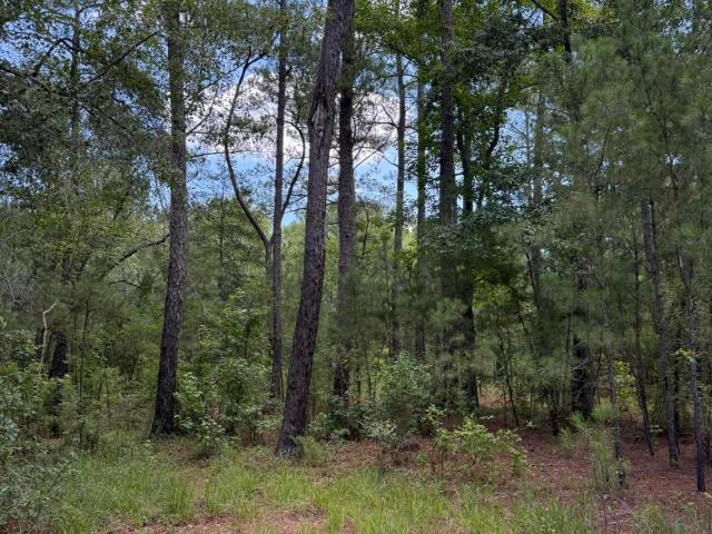 532 Old Hoover Bridge Road