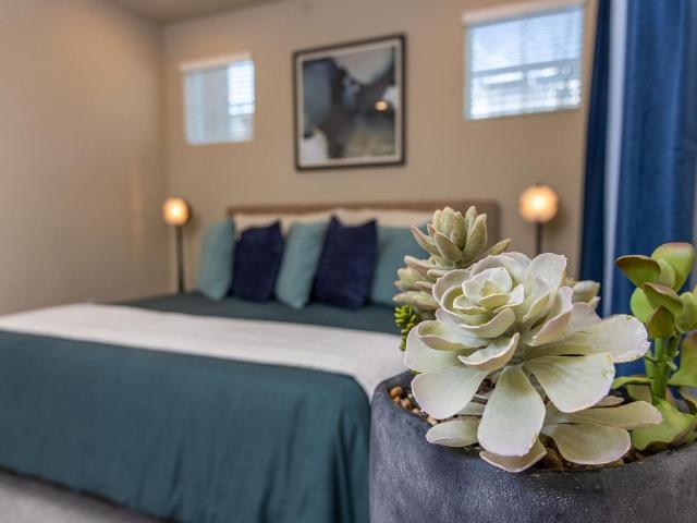 532 Luxury Apartments Studio Apartment for Rent at 532 Magazine St, Vallejo, CA 94590