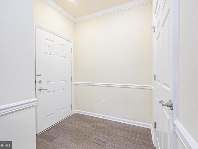 5335 Palomino Court