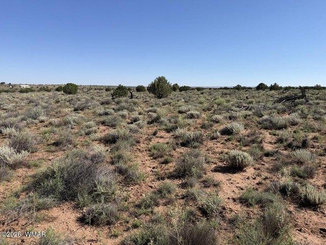 5335 White Antelope Rd, Snowflake, AZ 85937