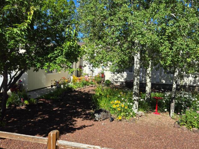 5336 Gray Wolf Drive