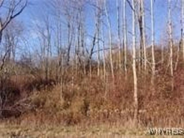 5338 Bryant Hill Rd, Ellicottville, NY 14731