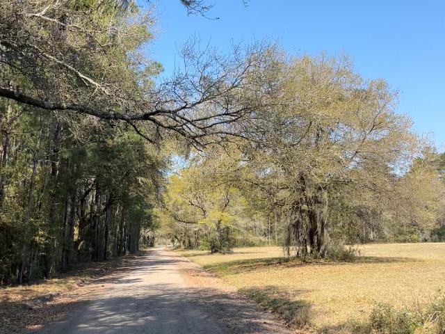 5331 Old Military Road Lot #3