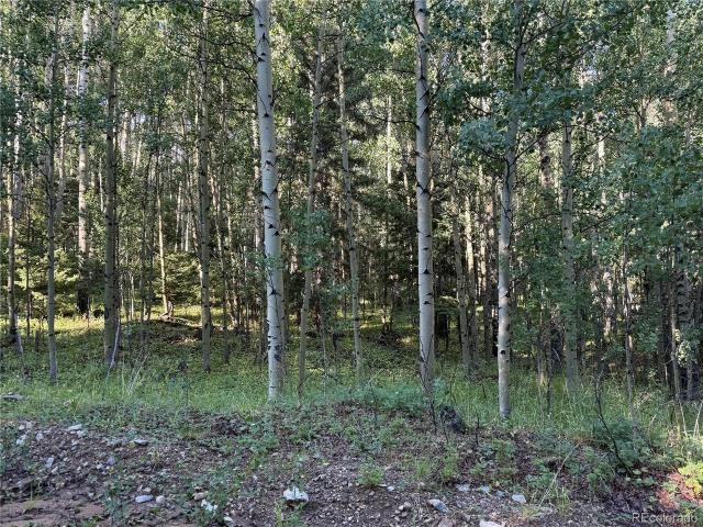 5331 Hull Rd, Fort Garland, CO 81133 | MLS #7361