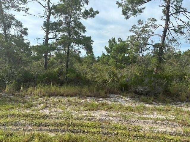 533 Boylston St, Lake Placid, FL 33852