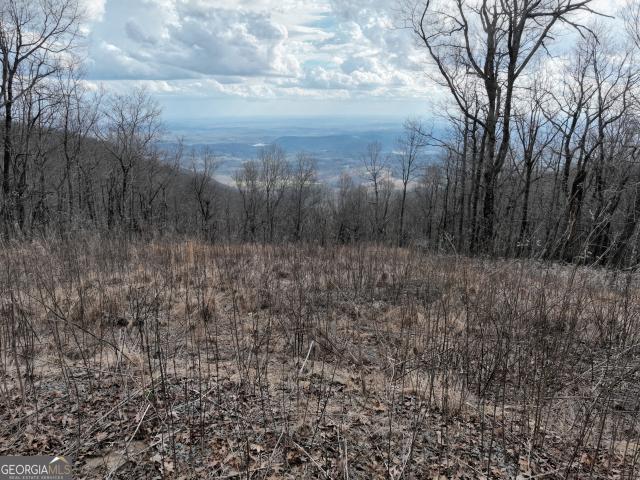 533 Old A T Approach Trail