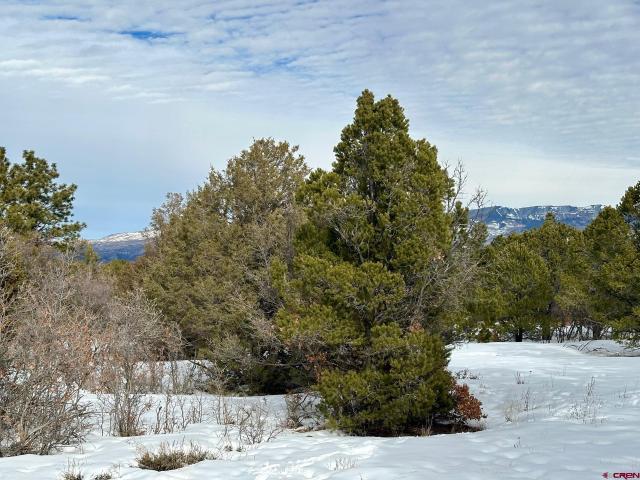 533 N Badger Trail, Ridgway, CO 81432 | MLS #810742 | Compass