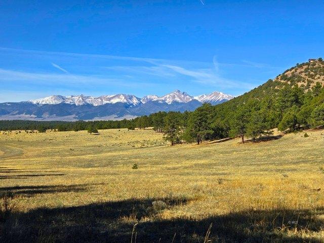 533 Ptarmigan Trl, Westcliffe, CO 81252