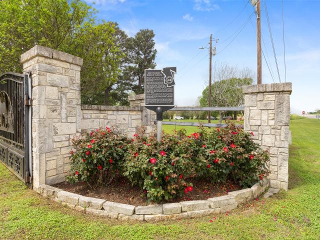 53447 Highway 290