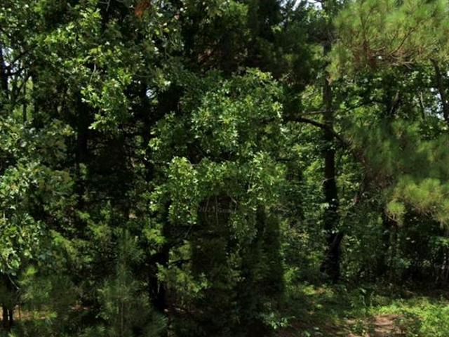 5343 Sam Bass Ln, Log Cabin, TX 75148 | MLS #21294