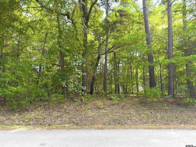 534 Caroline Ln, Bullard, TX 75757
